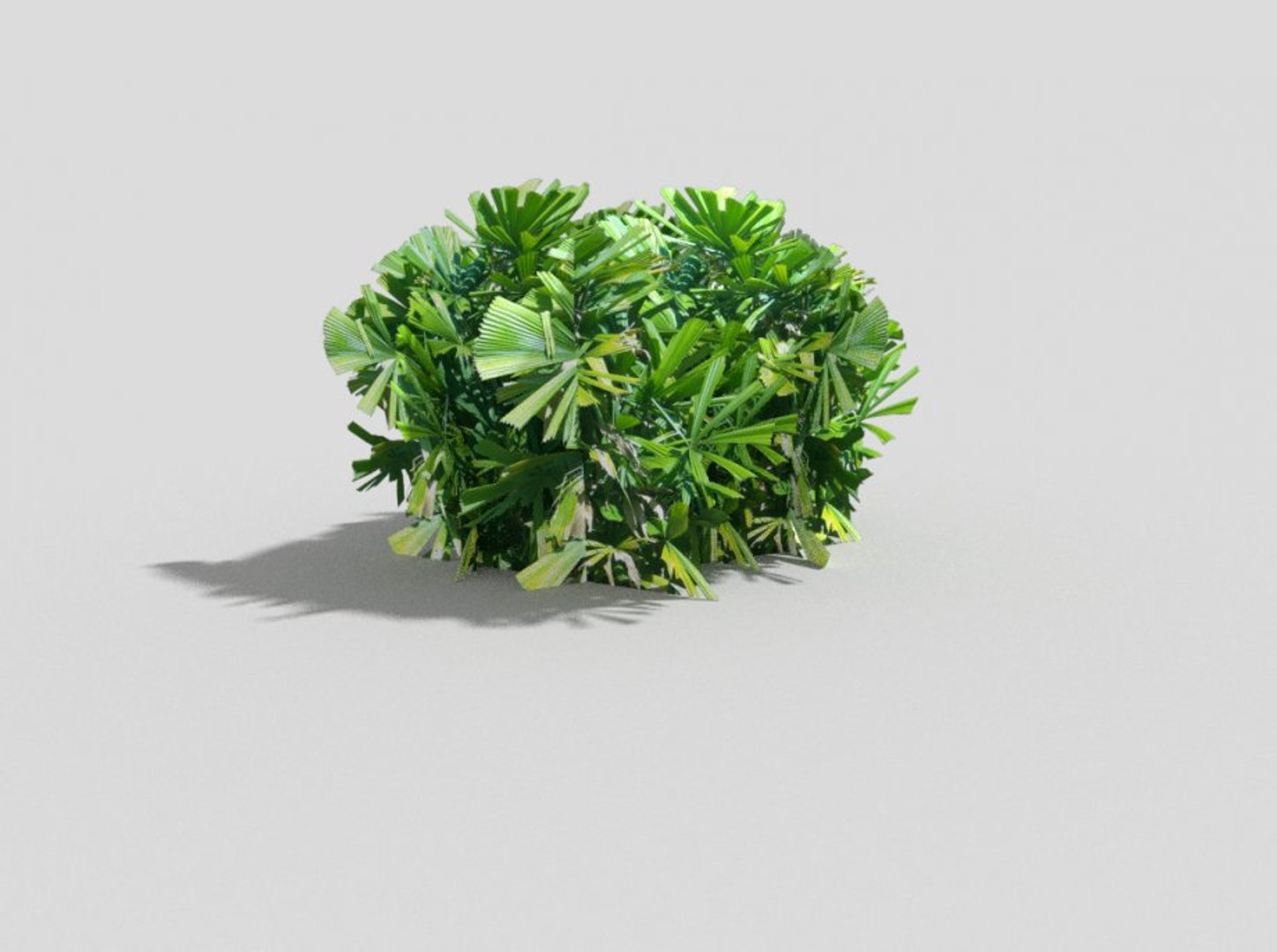 shrub games 3d model