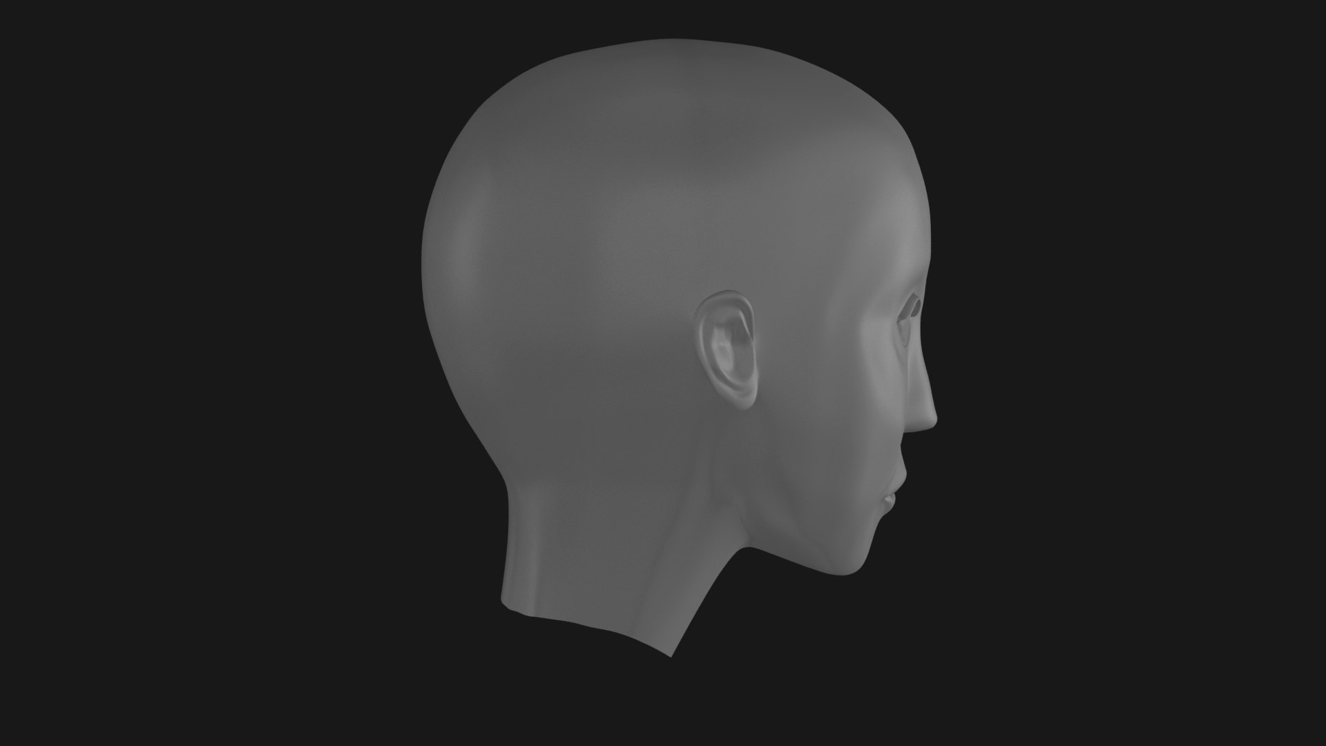 Human Head 3D Model - TurboSquid 1256238