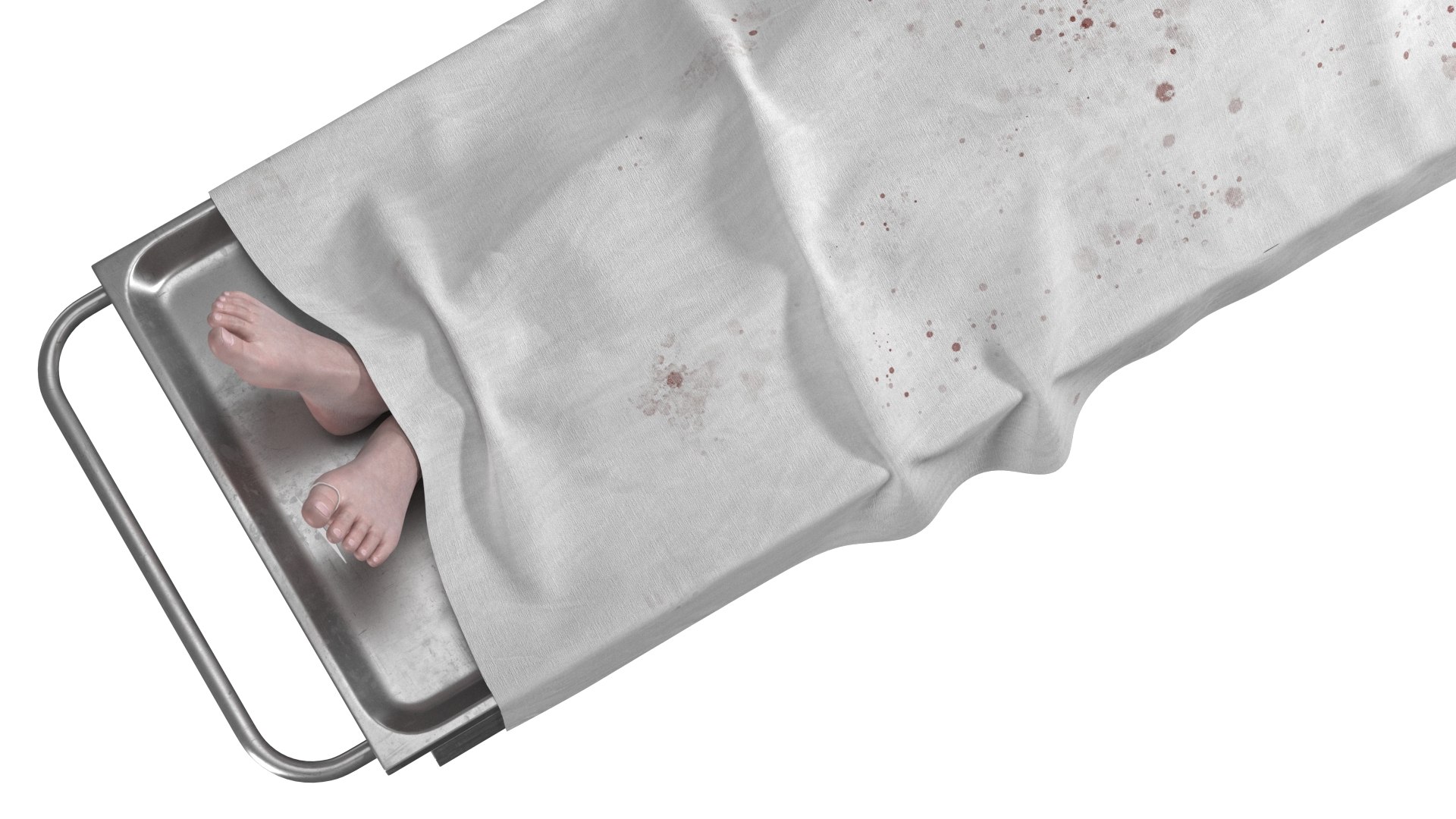 Realistic Dead Body Covered 3D Model - TurboSquid 1447538