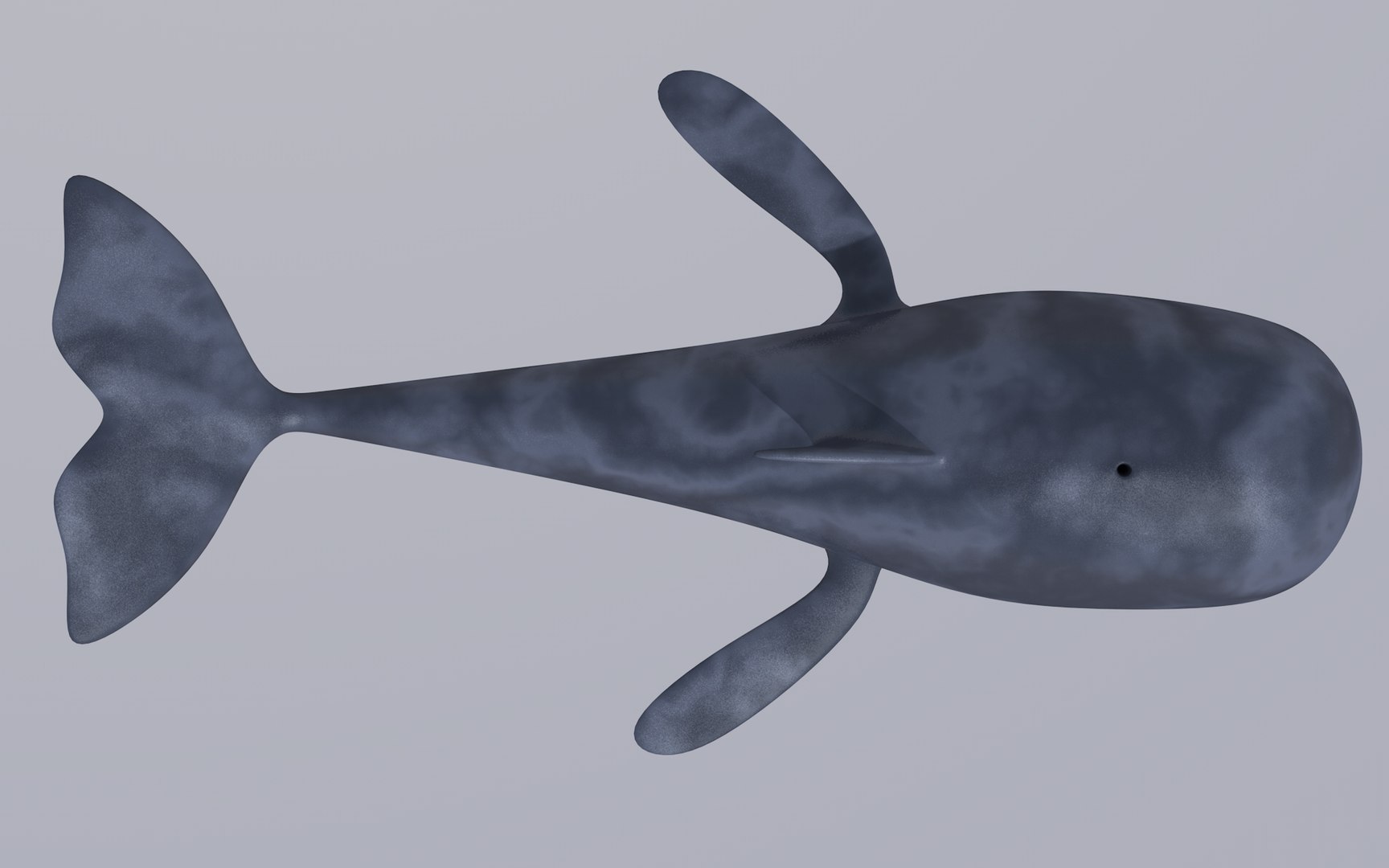 c4d white whale moby di
