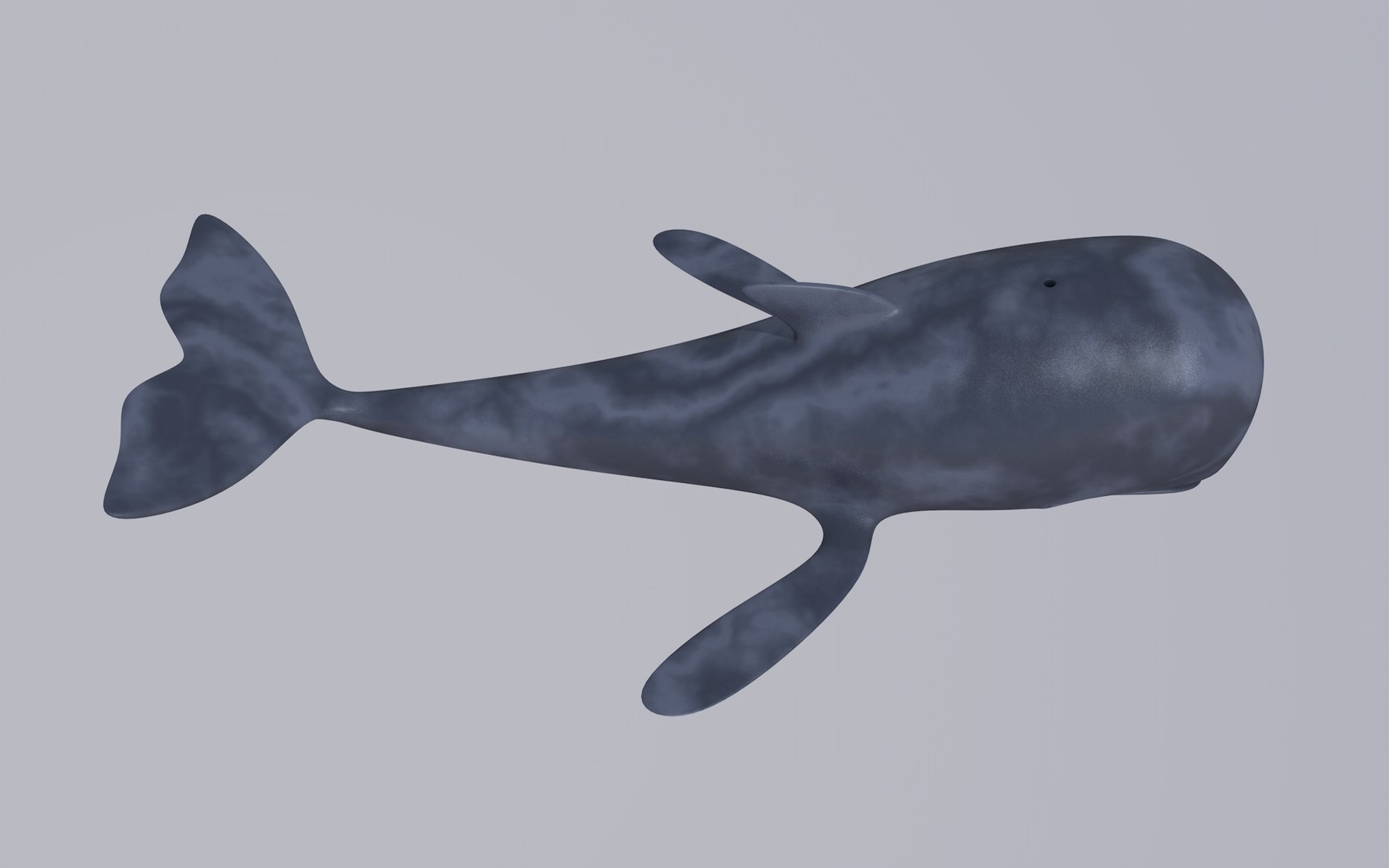 c4d white whale moby di