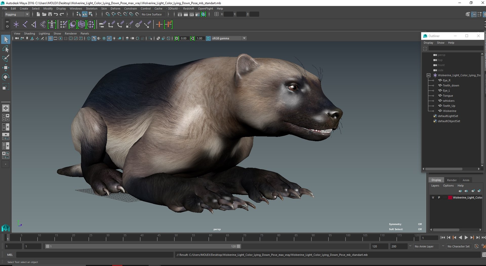 3D Wolverine Light Color Lying Down Pose - TurboSquid 2138039