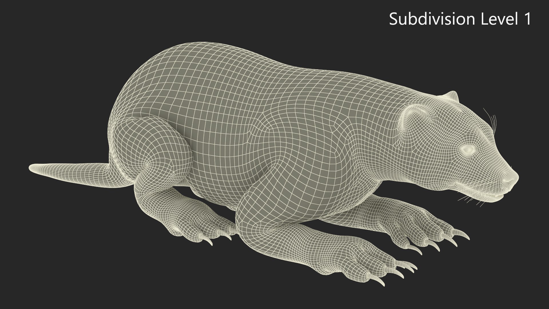 3D Wolverine Light Color Lying Down Pose - TurboSquid 2138039