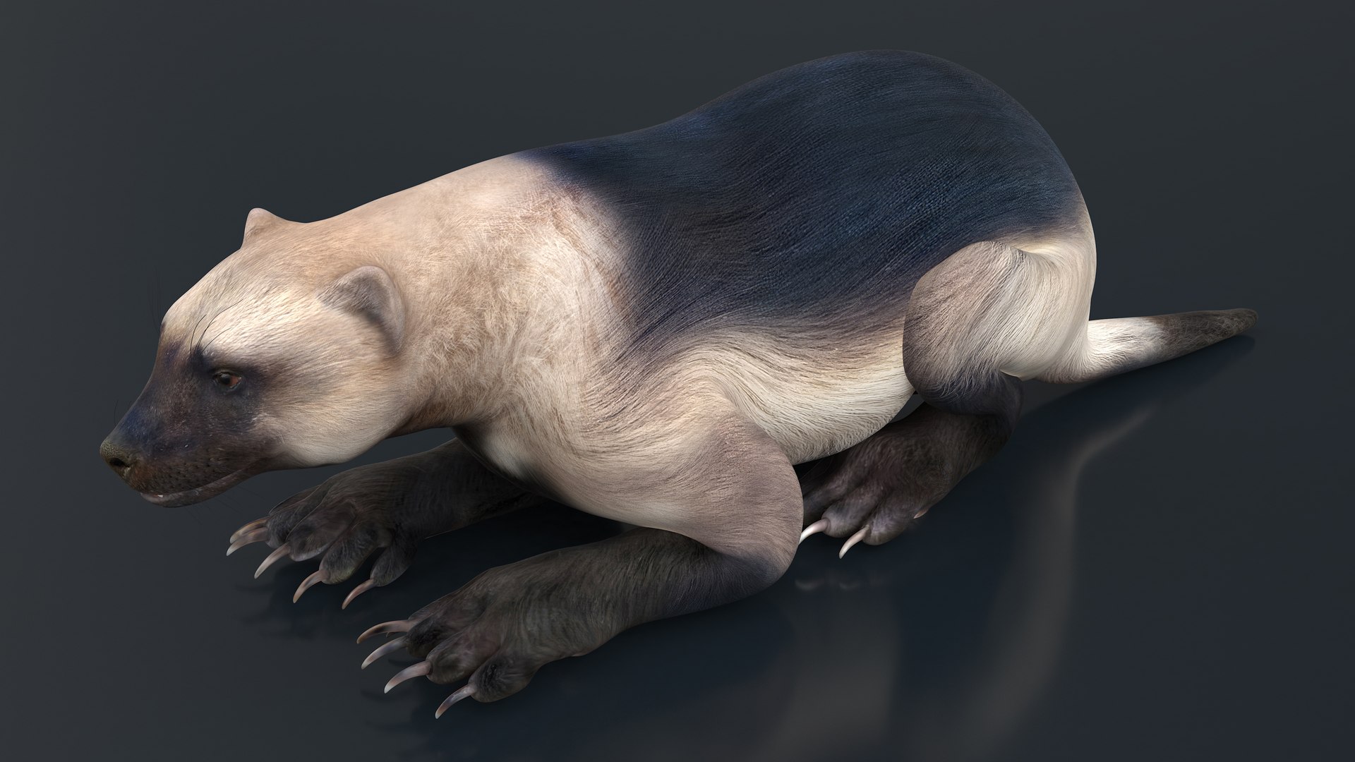 3D Wolverine Light Color Lying Down Pose - TurboSquid 2138039