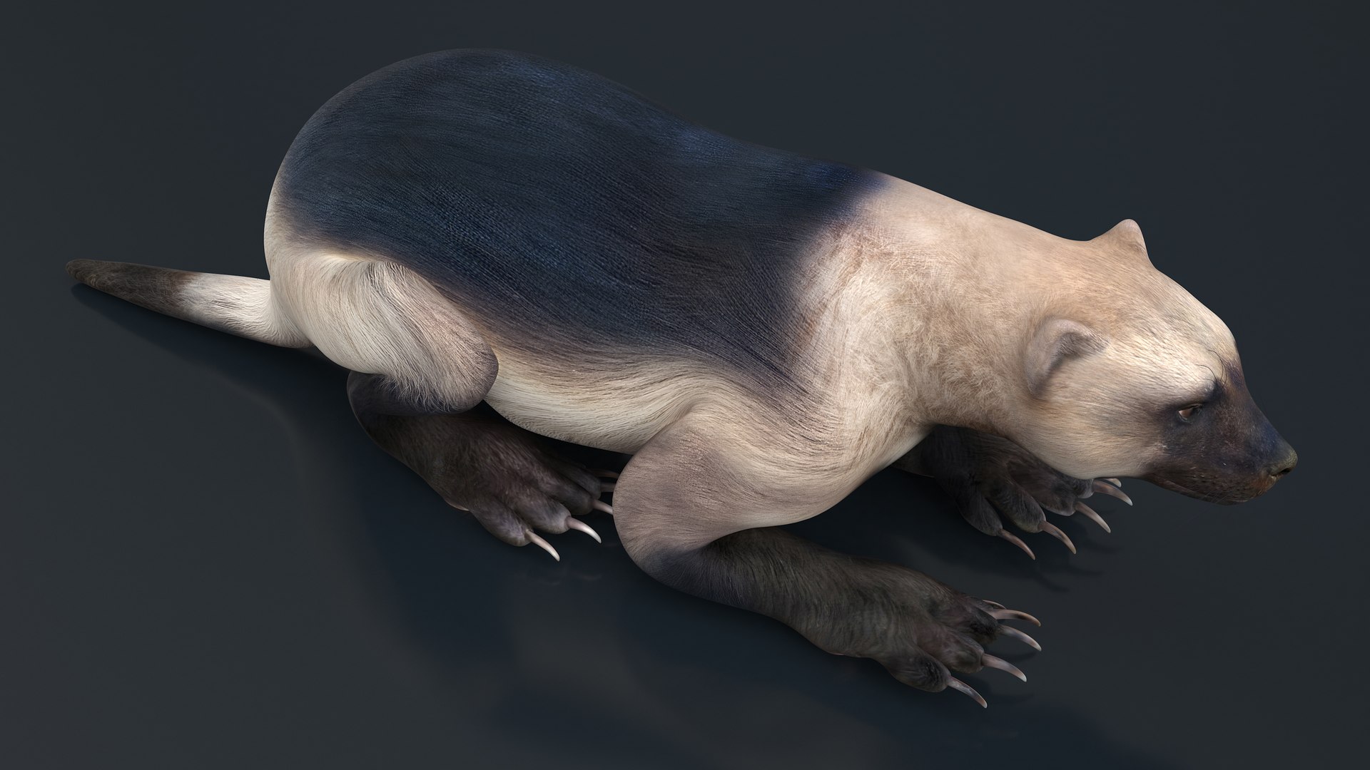 3D Wolverine Light Color Lying Down Pose - TurboSquid 2138039