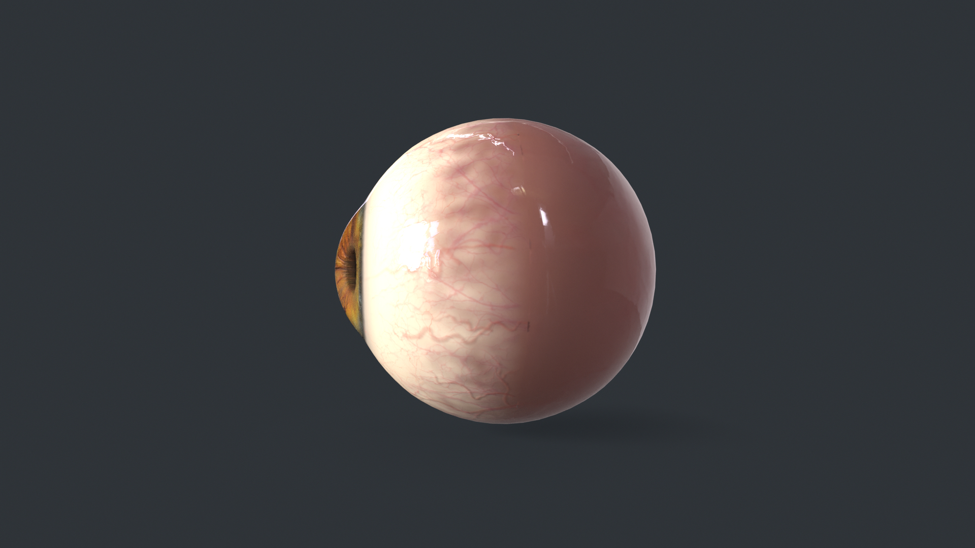Low Poly Eyes Collection 3D Model - TurboSquid 1886585