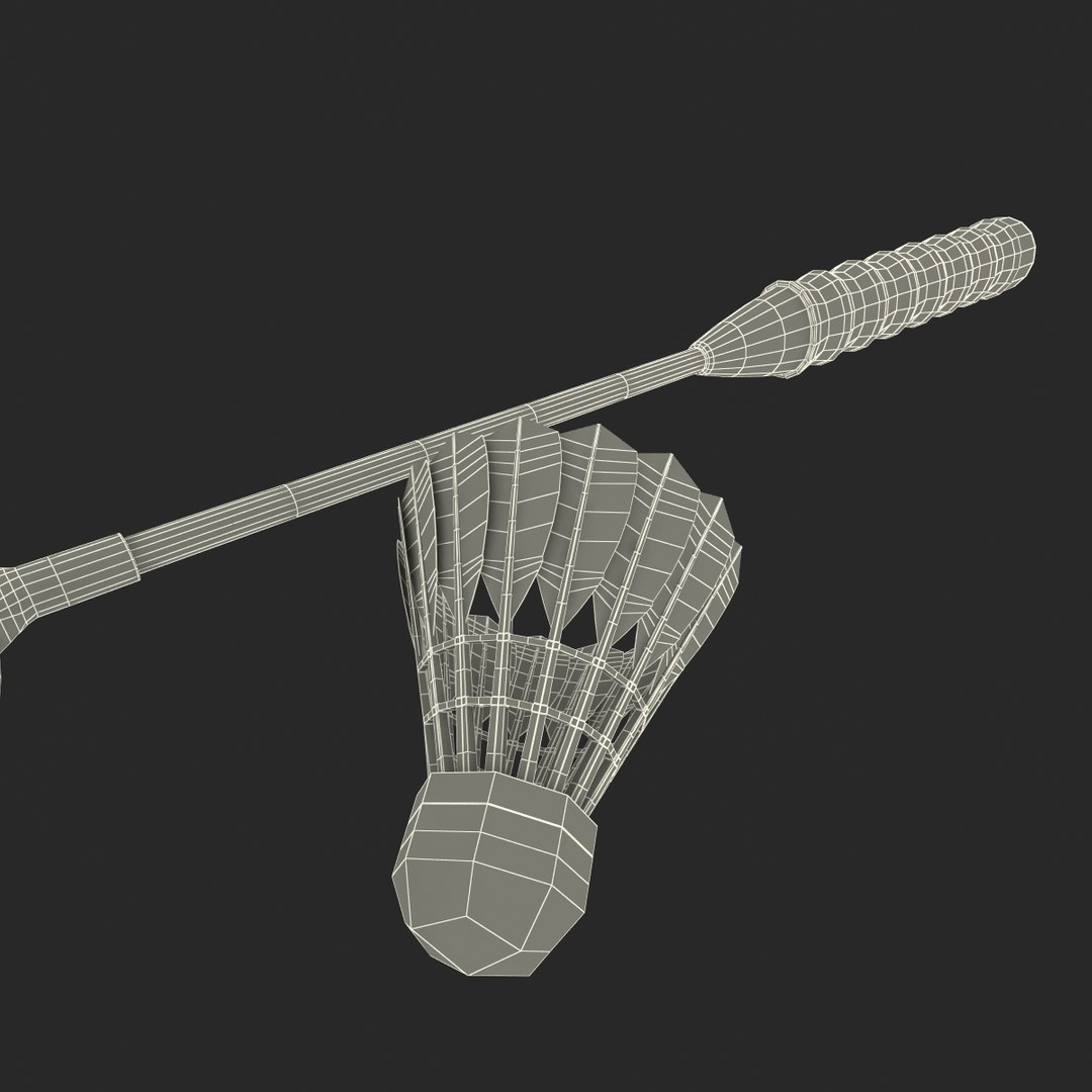 3d badminton racket shuttlecock model
