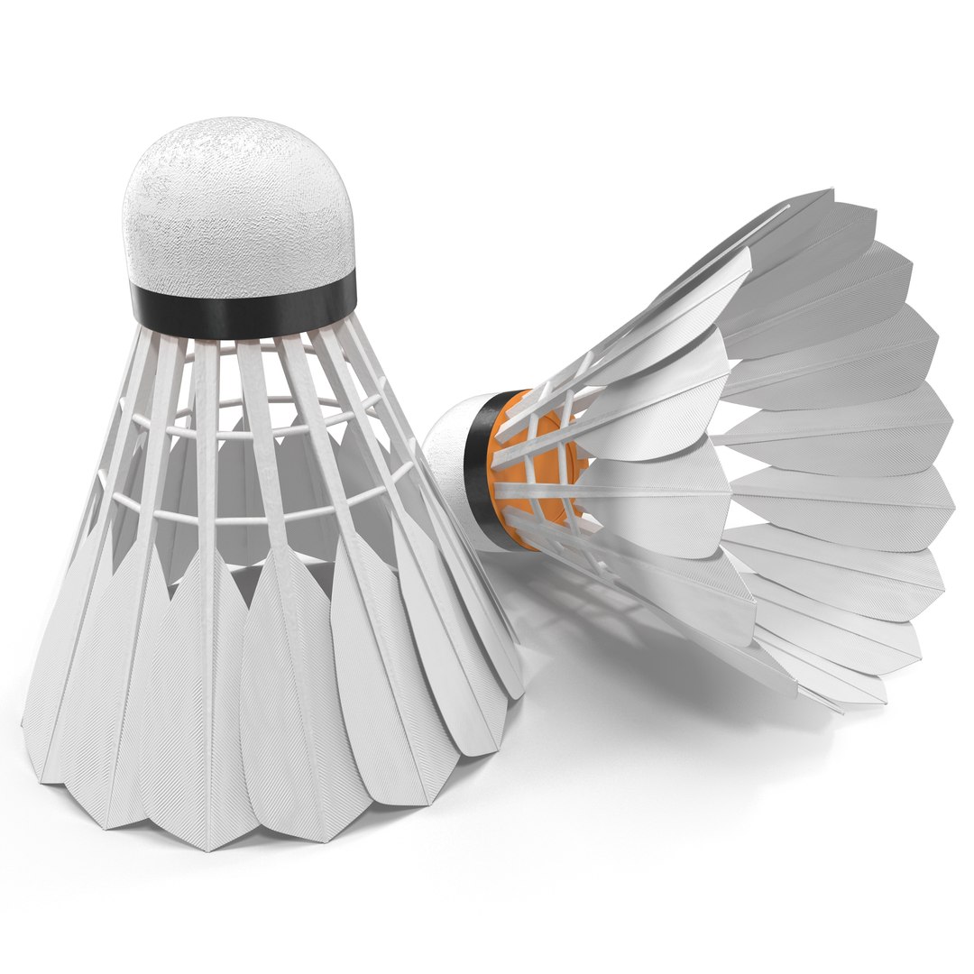3d badminton racket shuttlecock model