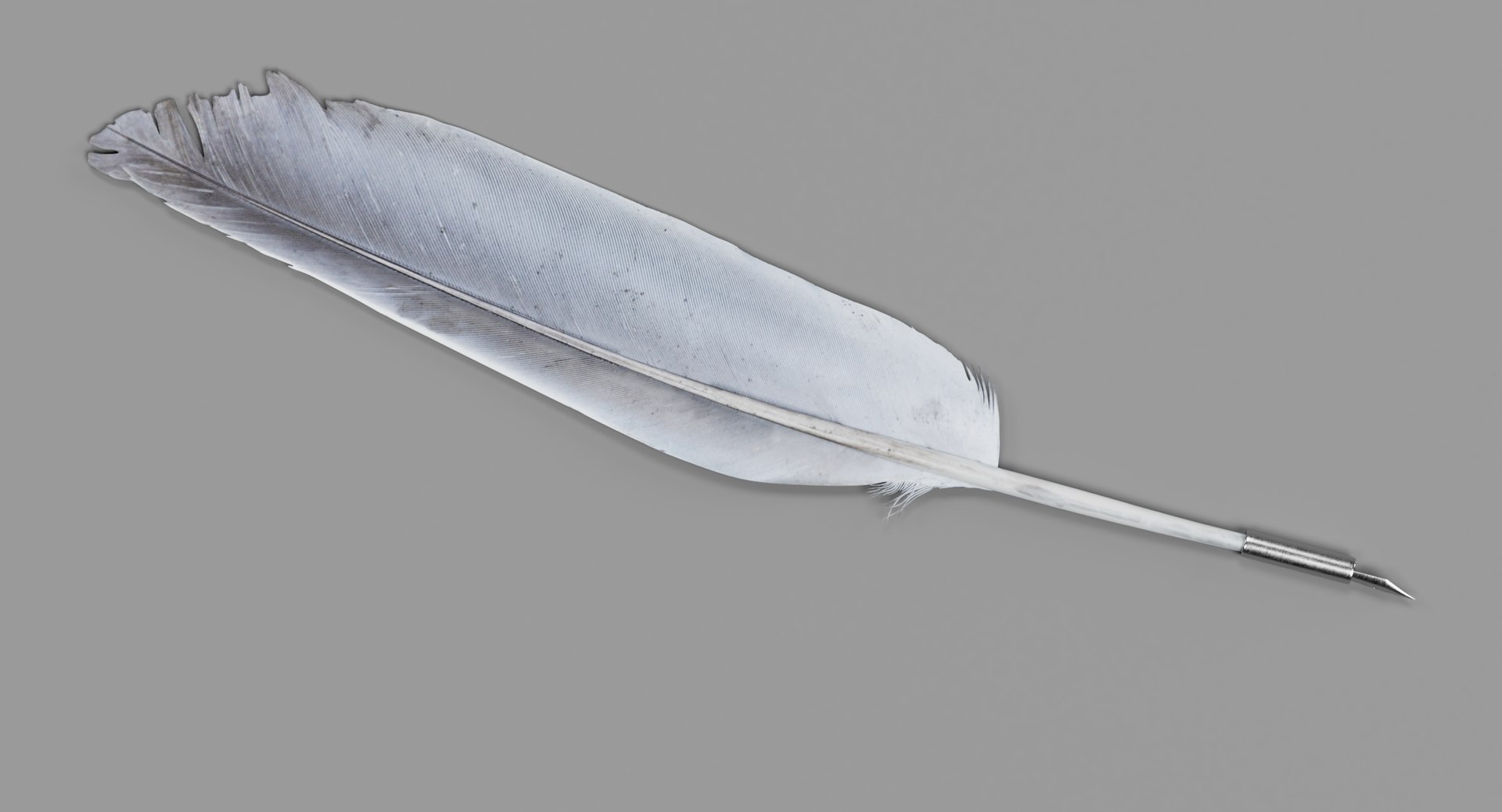 Quill Pbr Model - TurboSquid 1302085