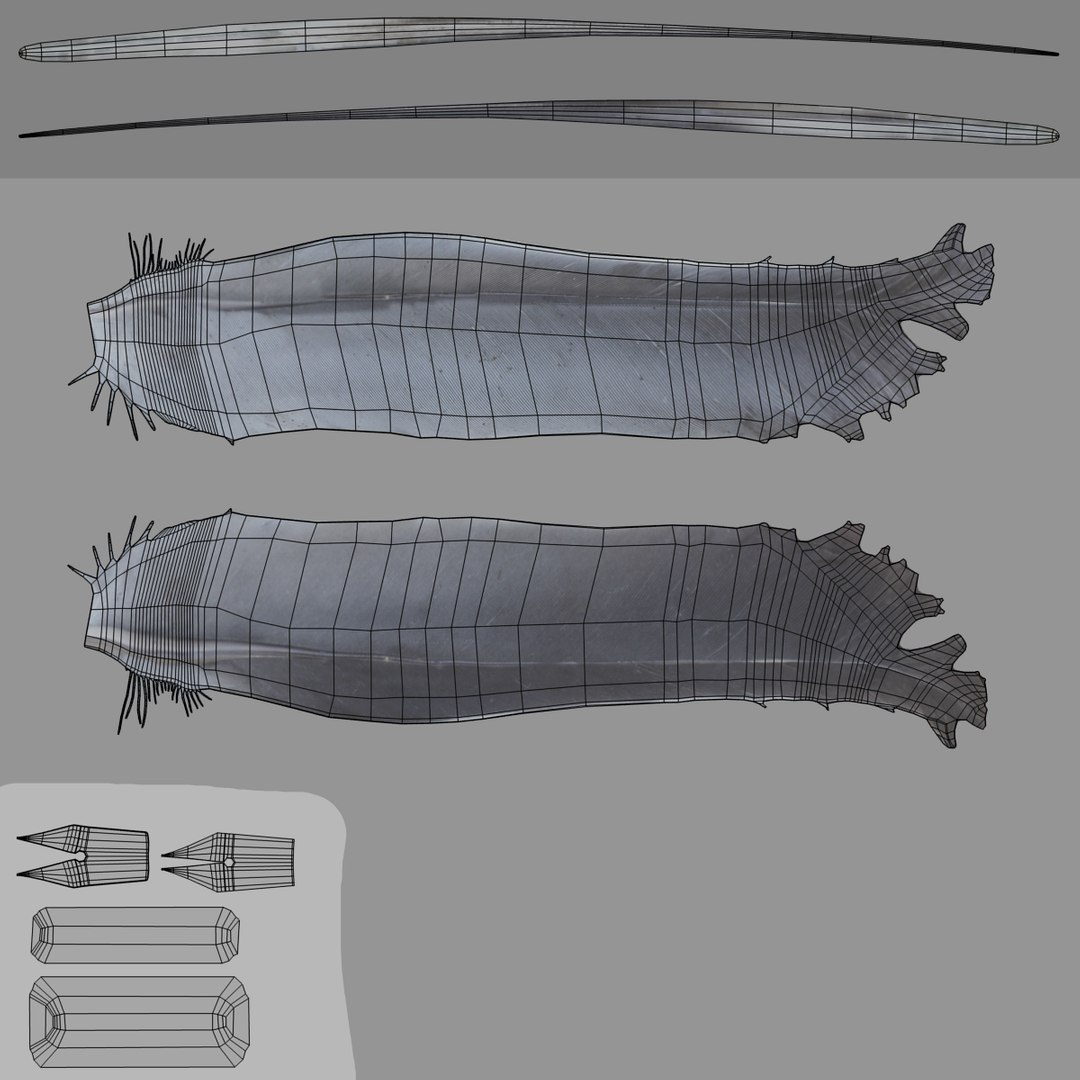 Quill Pbr Model - TurboSquid 1302085