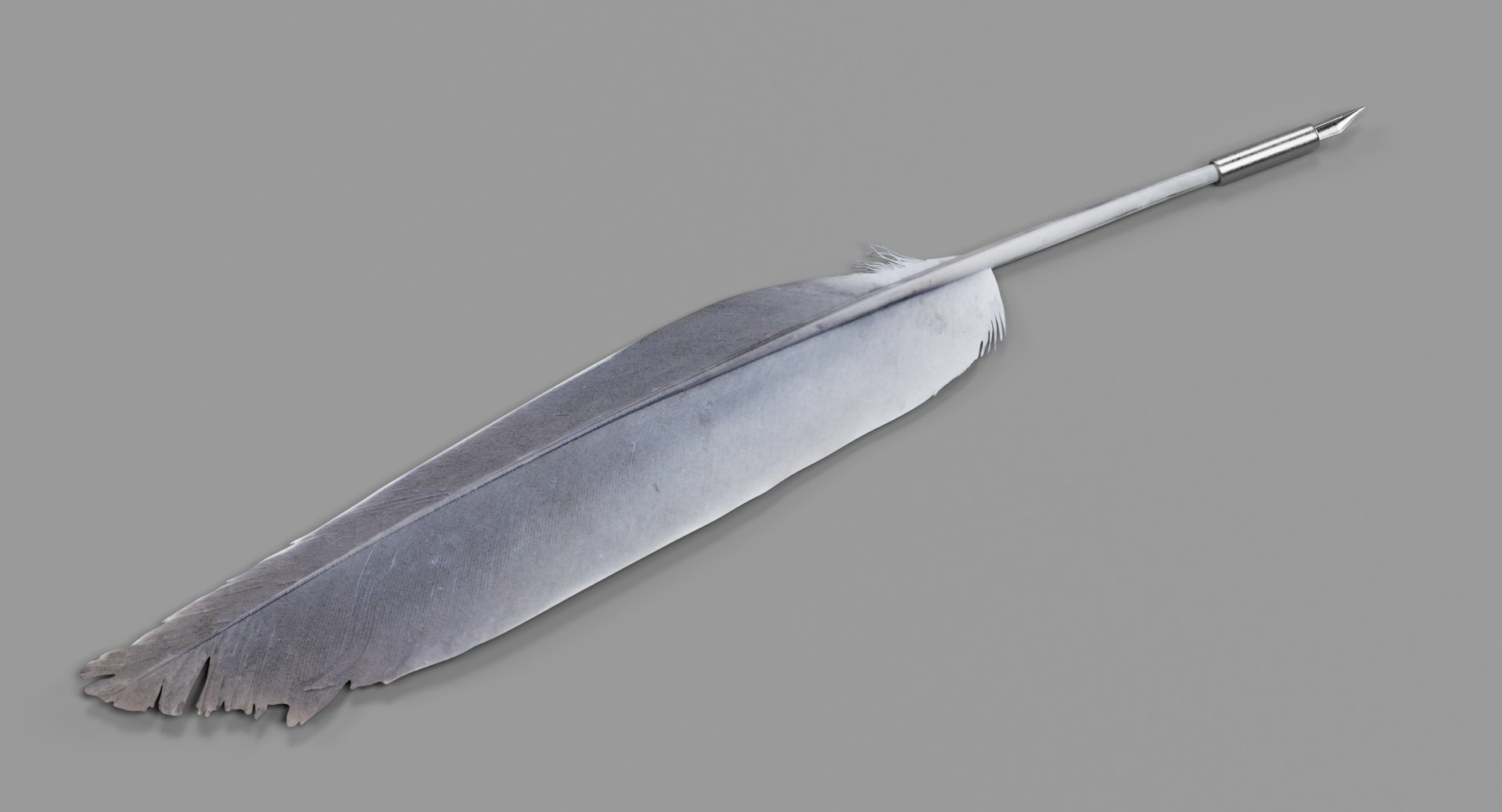 Quill Pbr Model - TurboSquid 1302085