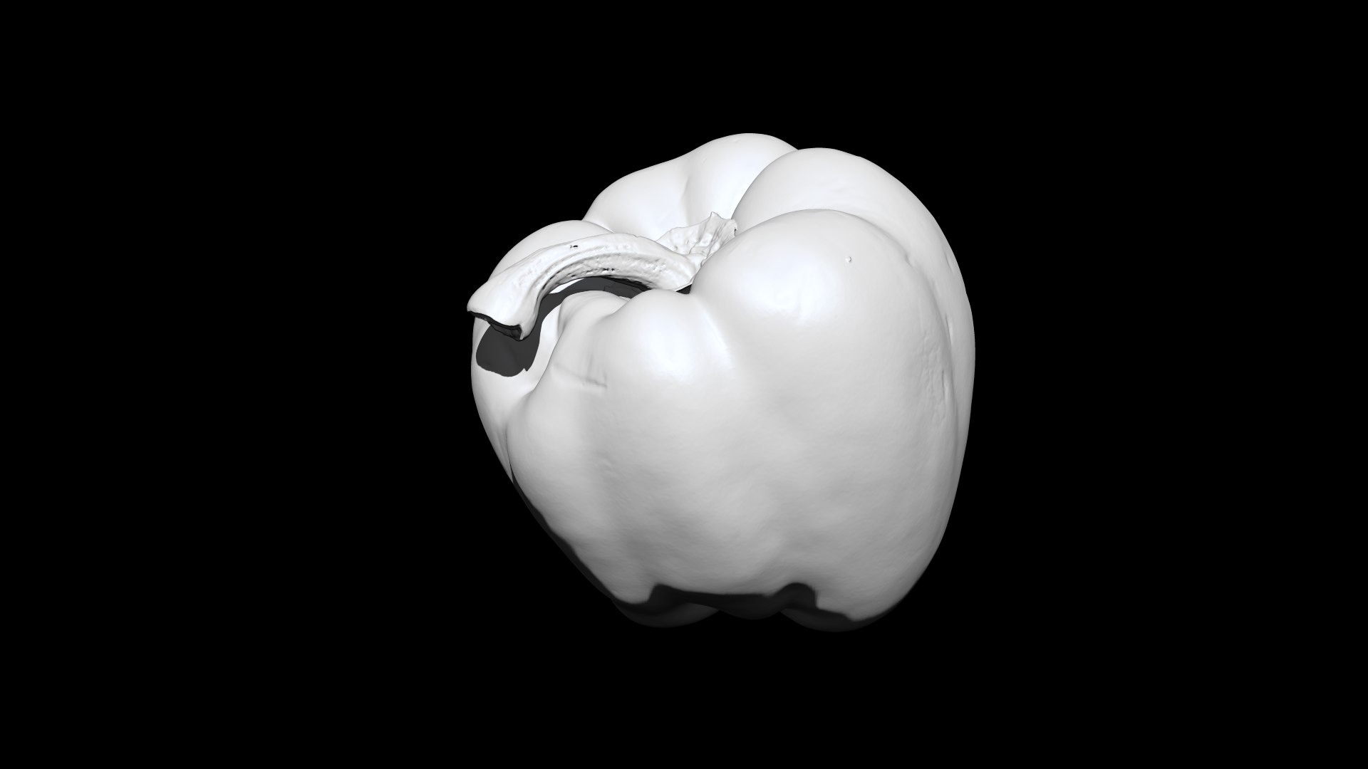 Yellow paprika 3D CT scan model decimate 30 percent 3D model ...