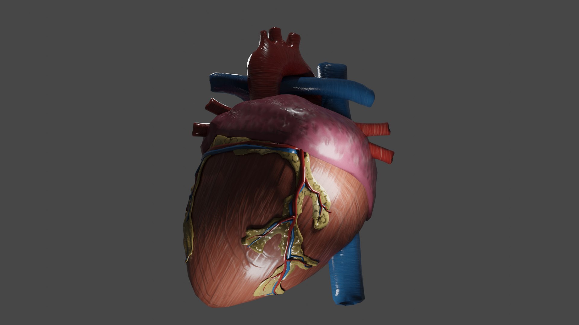 3D Heartv6 - TurboSquid 1837300