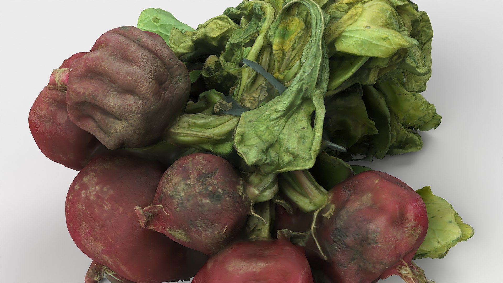 Rotten Radsih 01 3D Model - TurboSquid 1906863