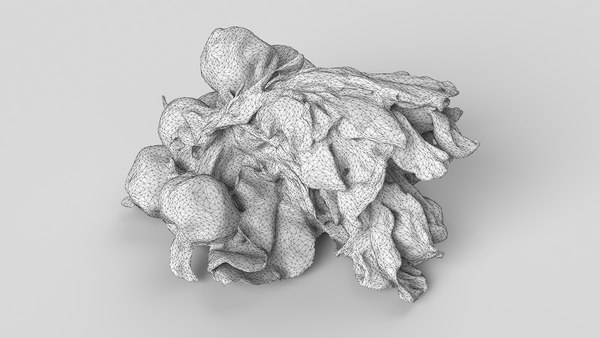 Rotten Radsih 01 3D model - TurboSquid 1906863