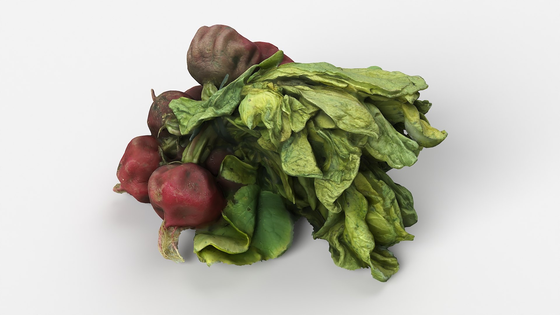 Rotten Radsih 01 3D Model - TurboSquid 1906863