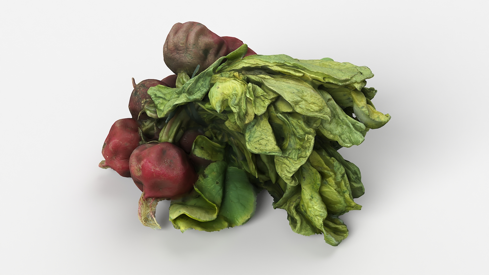 Rotten Radsih 01 3D model - TurboSquid 1906863