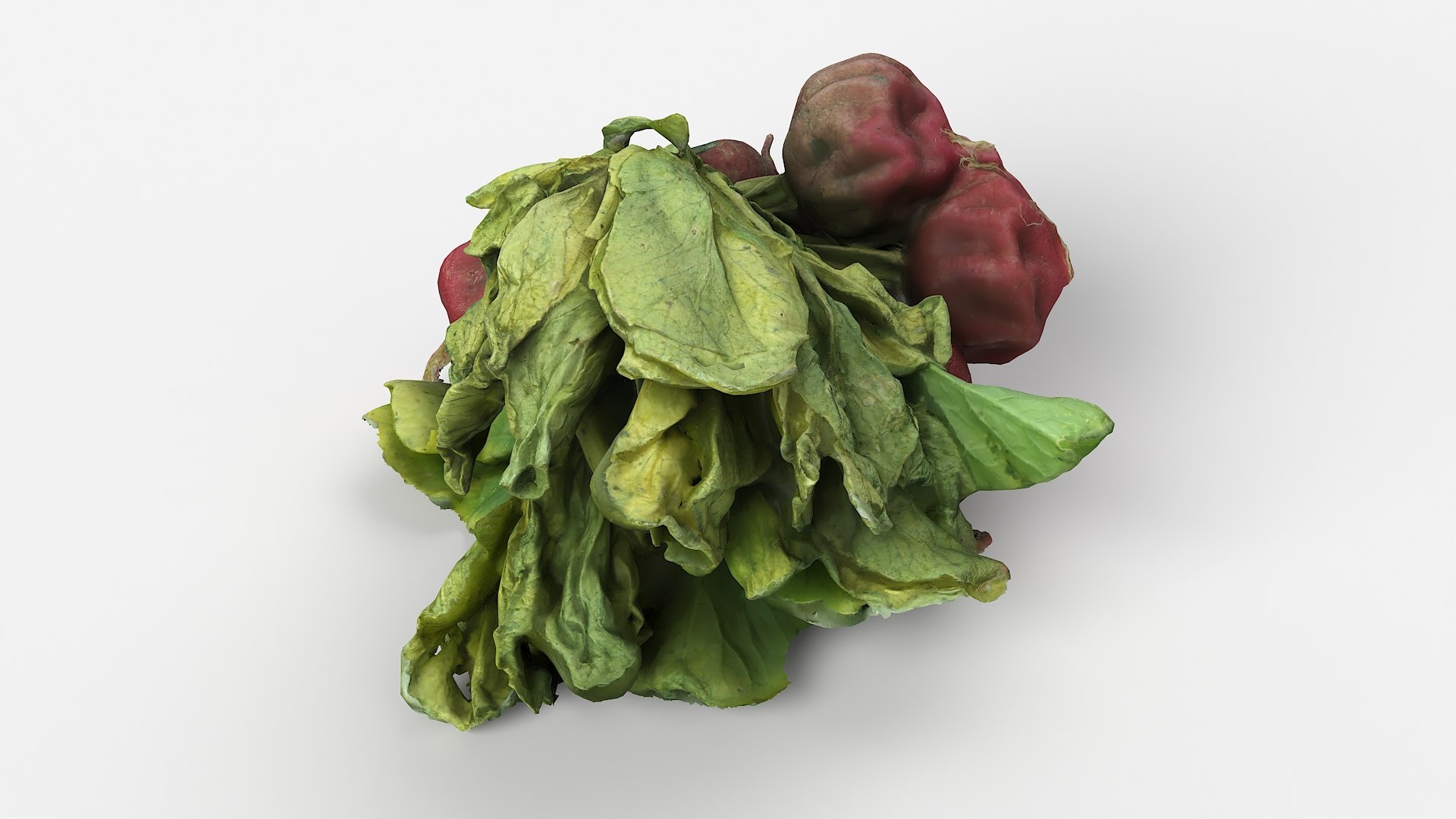 Rotten Radsih 01 3D Model - TurboSquid 1906863