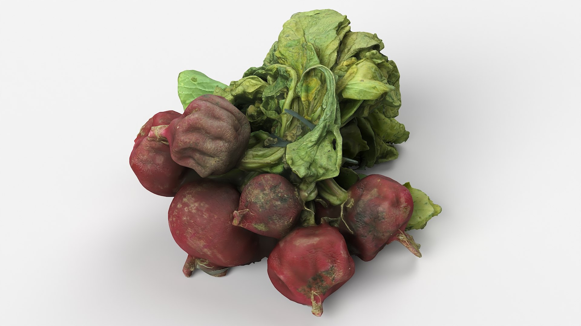 Rotten Radsih 01 3D Model - TurboSquid 1906863