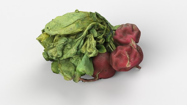 Rotten Radsih 01 3D model - TurboSquid 1906863