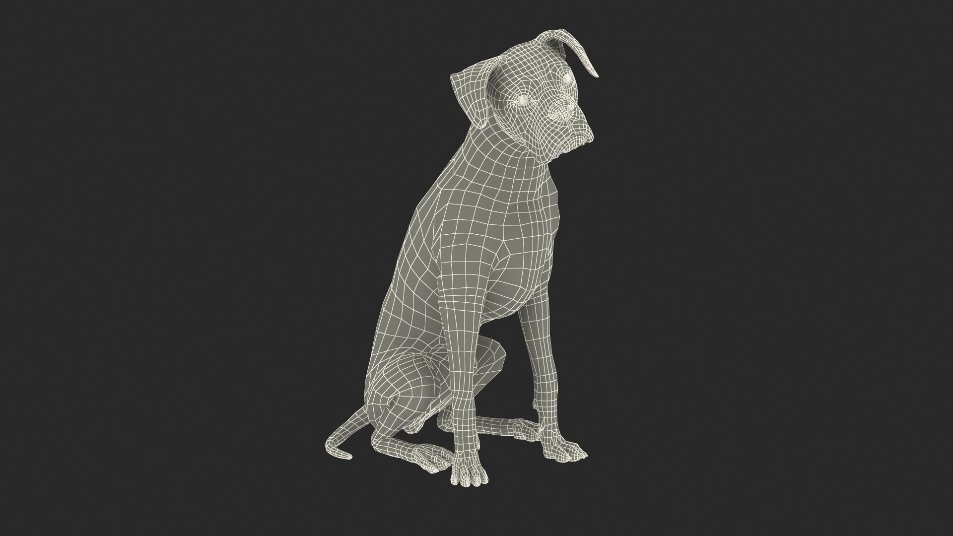 3D Sitting Dog Boxer Tiger Colored - TurboSquid 2249671