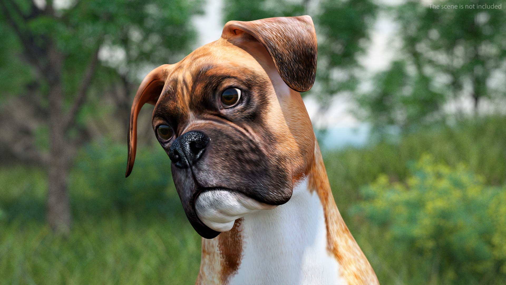 3D Sitting Dog Boxer Tiger Colored - TurboSquid 2249671