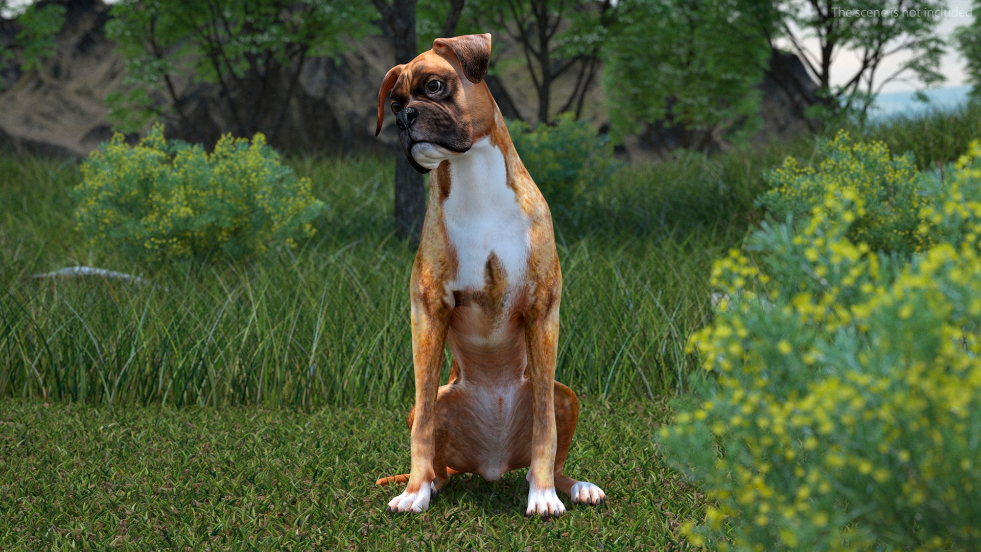 3D Sitting Dog Boxer Tiger Colored - TurboSquid 2249671