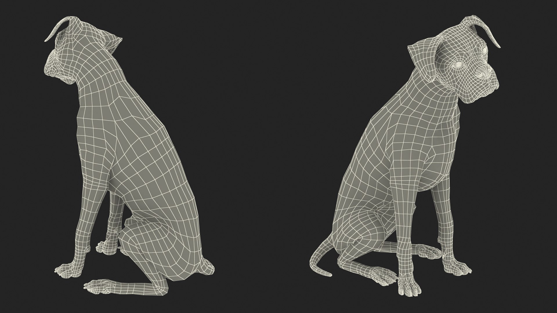 3D Sitting Dog Boxer Tiger Colored - TurboSquid 2249671