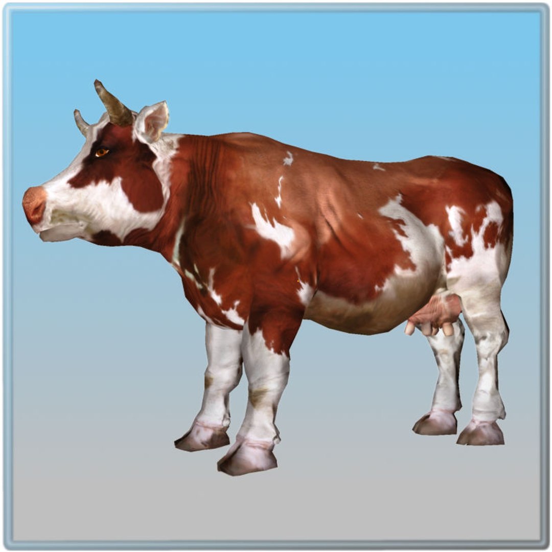 Cow 3d Model