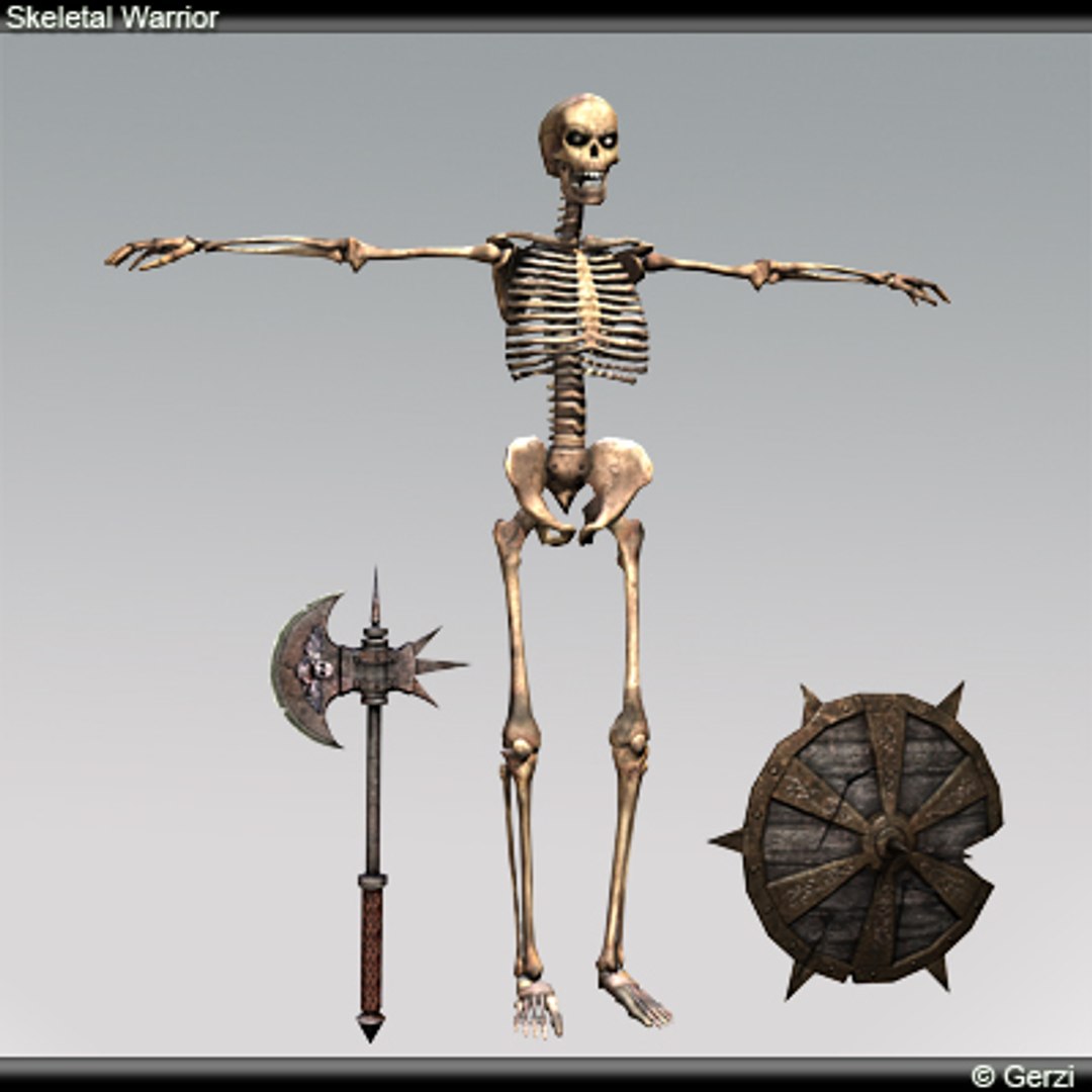 Skeleton Warrior Max