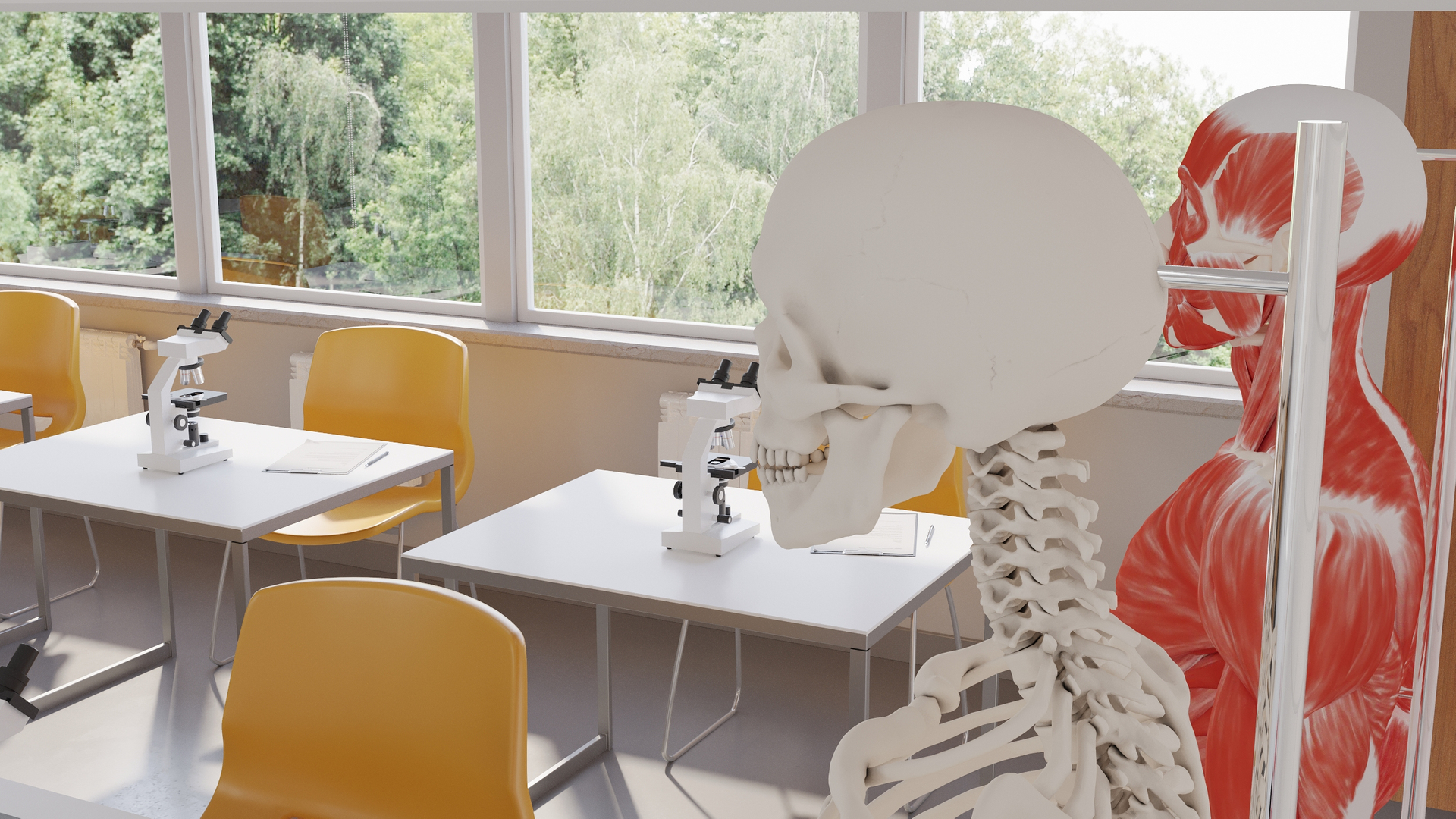 3D Biology And Anatomy Classroom - TurboSquid 1947051