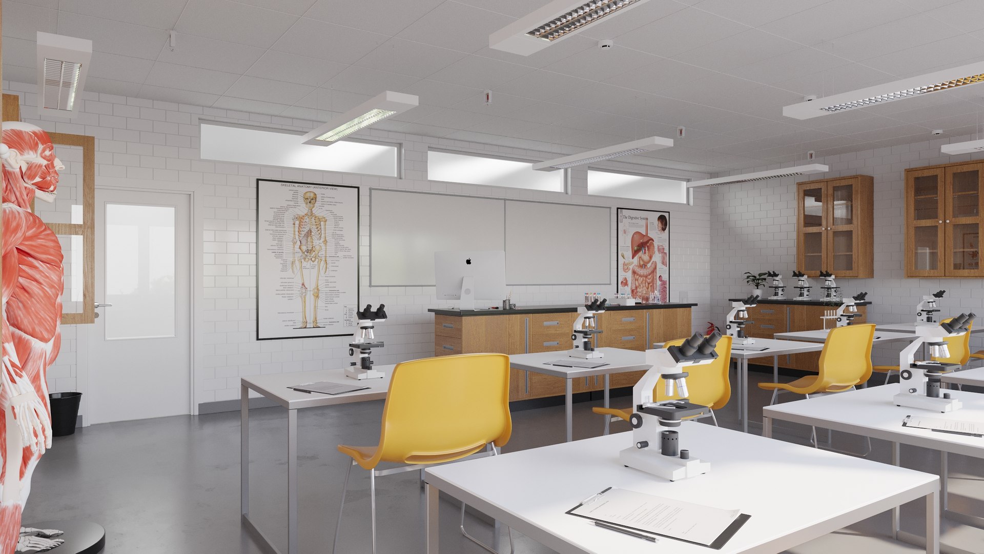3D Biology And Anatomy Classroom - TurboSquid 1947051