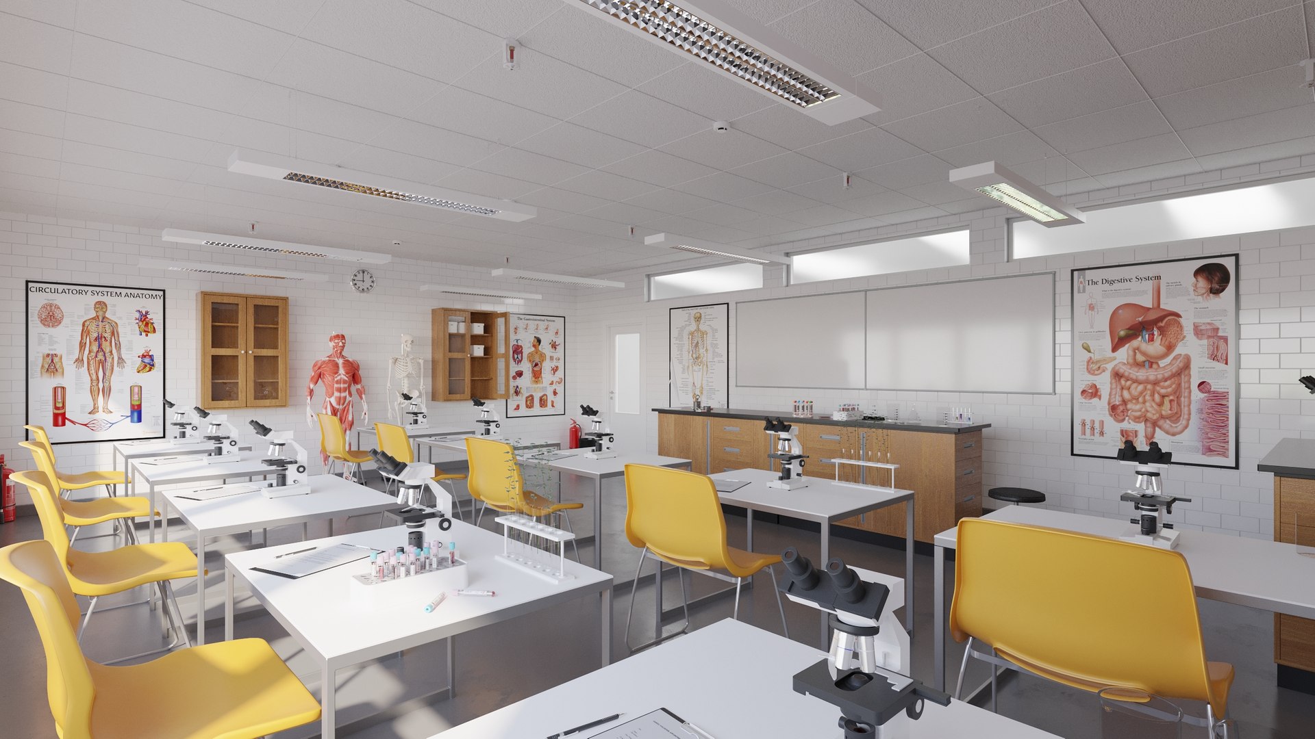 3D Biology And Anatomy Classroom - TurboSquid 1947051