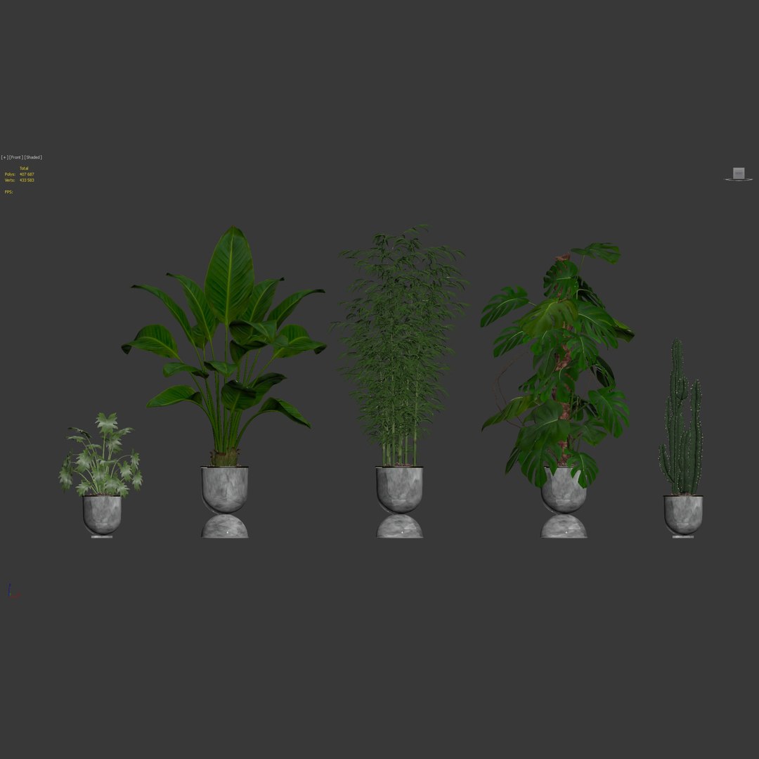 3D Plants Collection 128 - TurboSquid 1958930