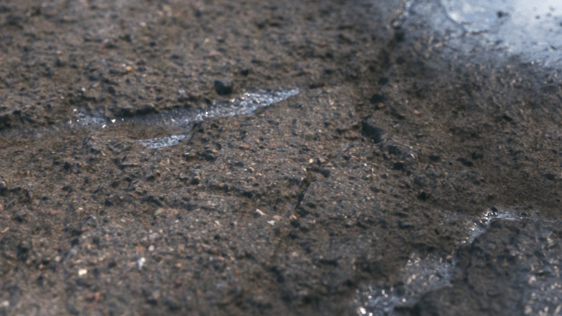 Wet Asphalt Material 05 4k Seamless PBR Model - TurboSquid 1966496