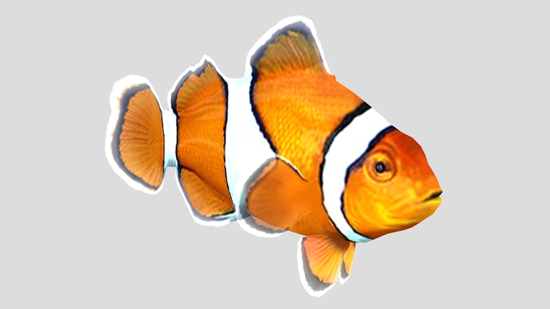 3D Clownfish Tropical Fish - TurboSquid 1384289