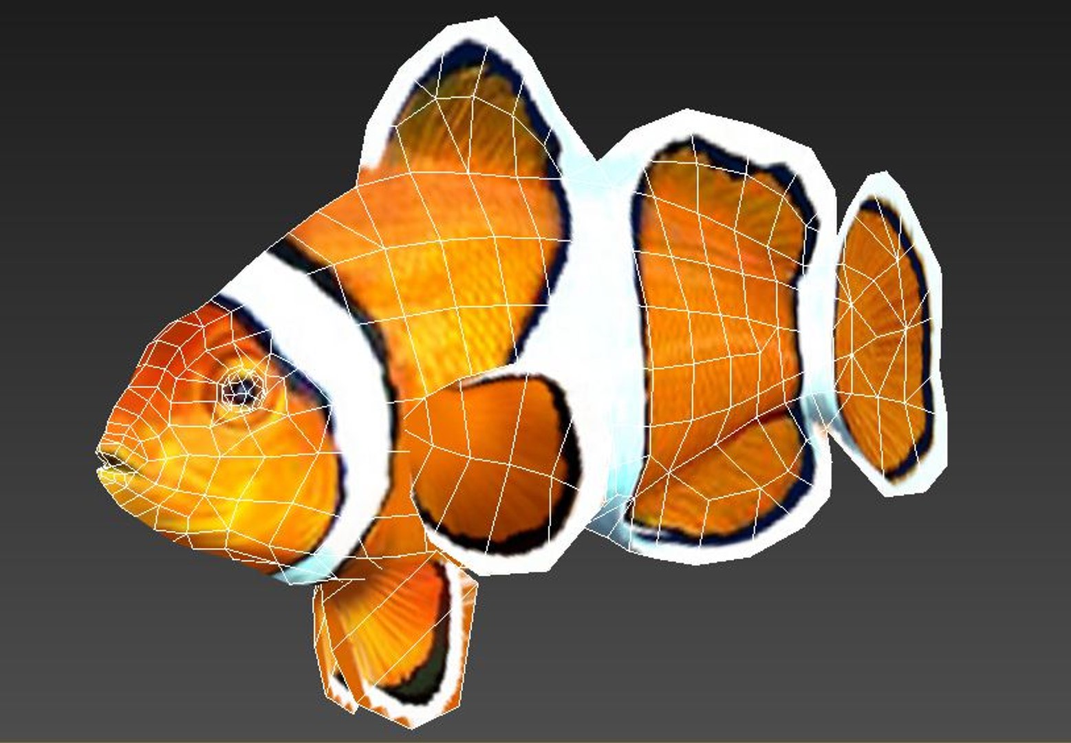 3D Clownfish Tropical Fish - TurboSquid 1384289