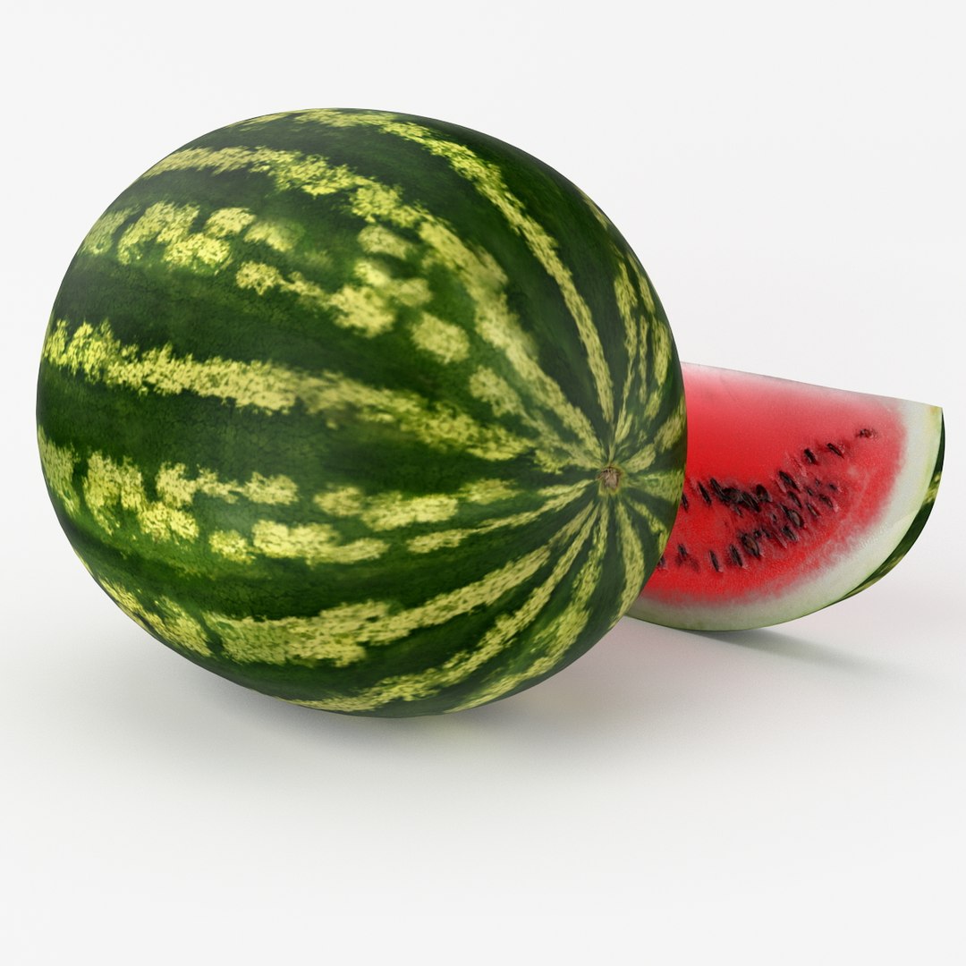Realistic Watermelon Real 3d Model
