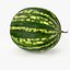 Realistic Watermelon Real 3d Model