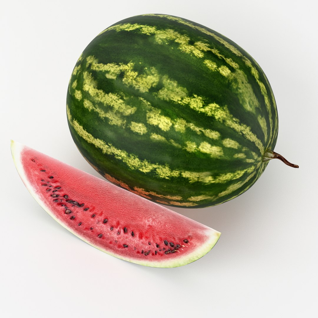 Realistic Watermelon Real 3d Model
