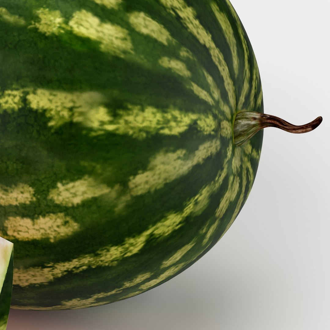 Realistic Watermelon Real 3d Model