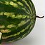 Realistic Watermelon Real 3d Model