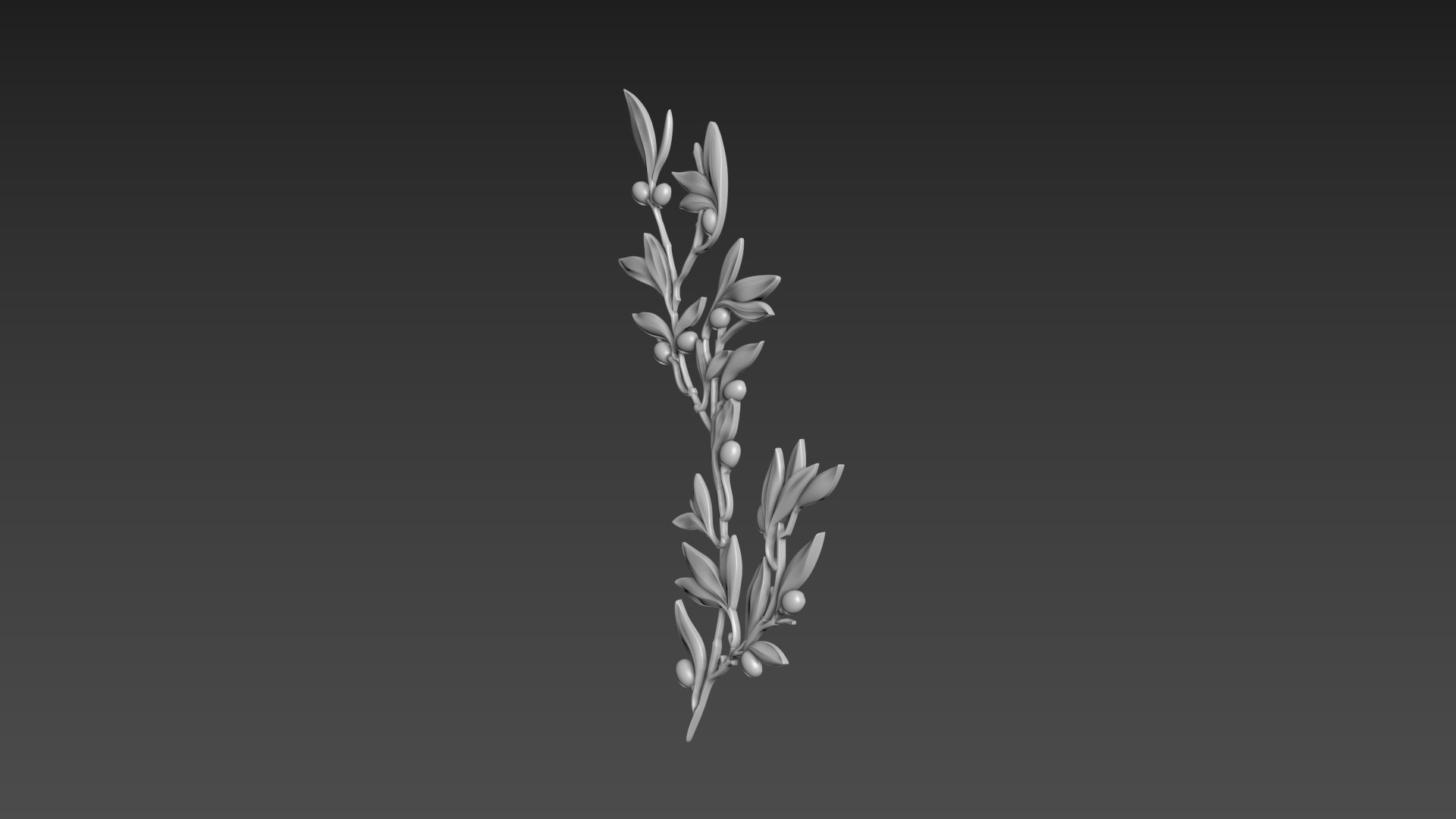 Olive Branch 3D - TurboSquid 2392565