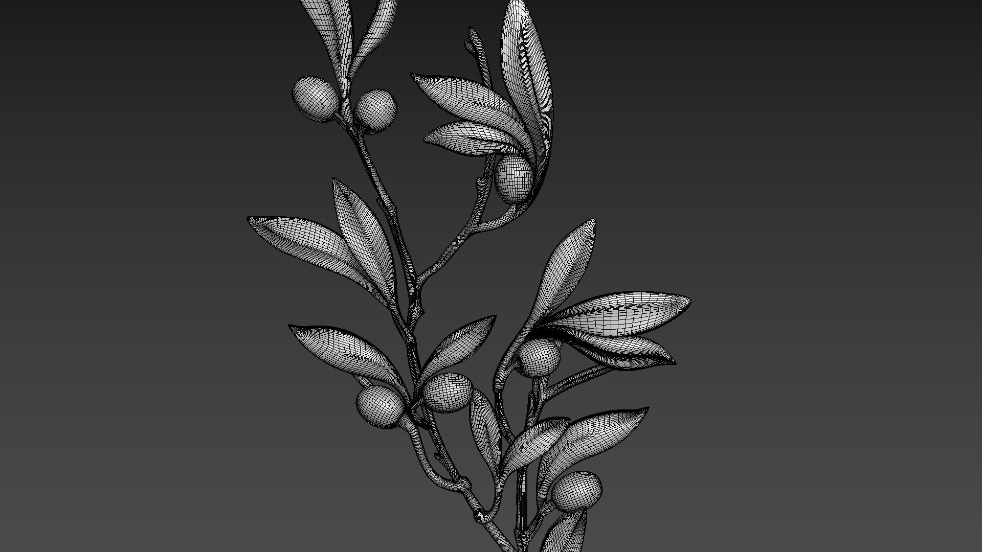 Olive Branch 3D - TurboSquid 2392565