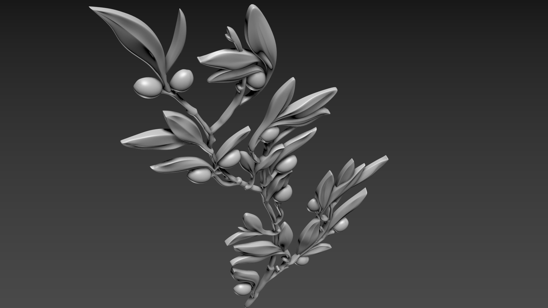 Olive Branch 3D - TurboSquid 2392565