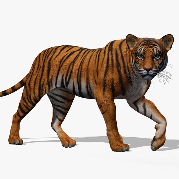 Tiger s Majesty Regal 3D 타이거 로우 폴리 3D 모델 3D 모델 - TurboSquid 2184849