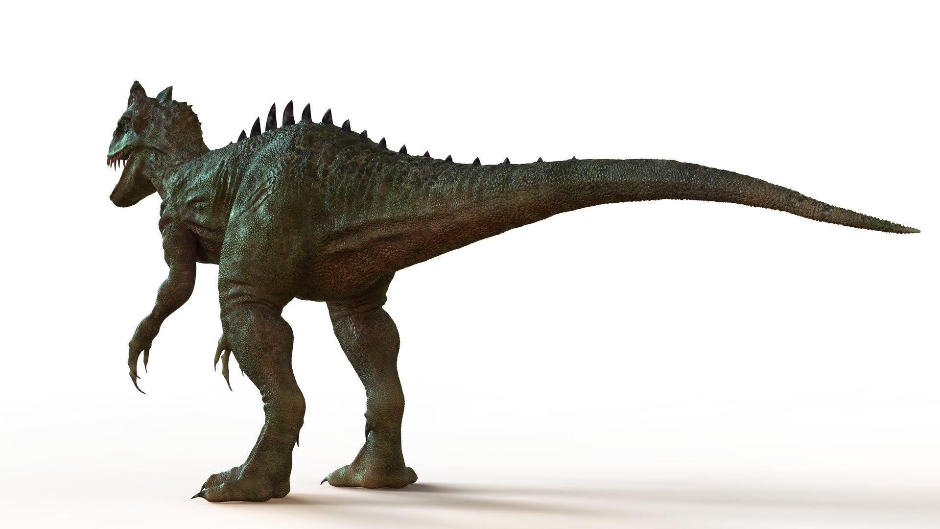 3D Allosaurus Theropod Dinosaur In Blender And ZBrush Model - TurboSquid 2020489