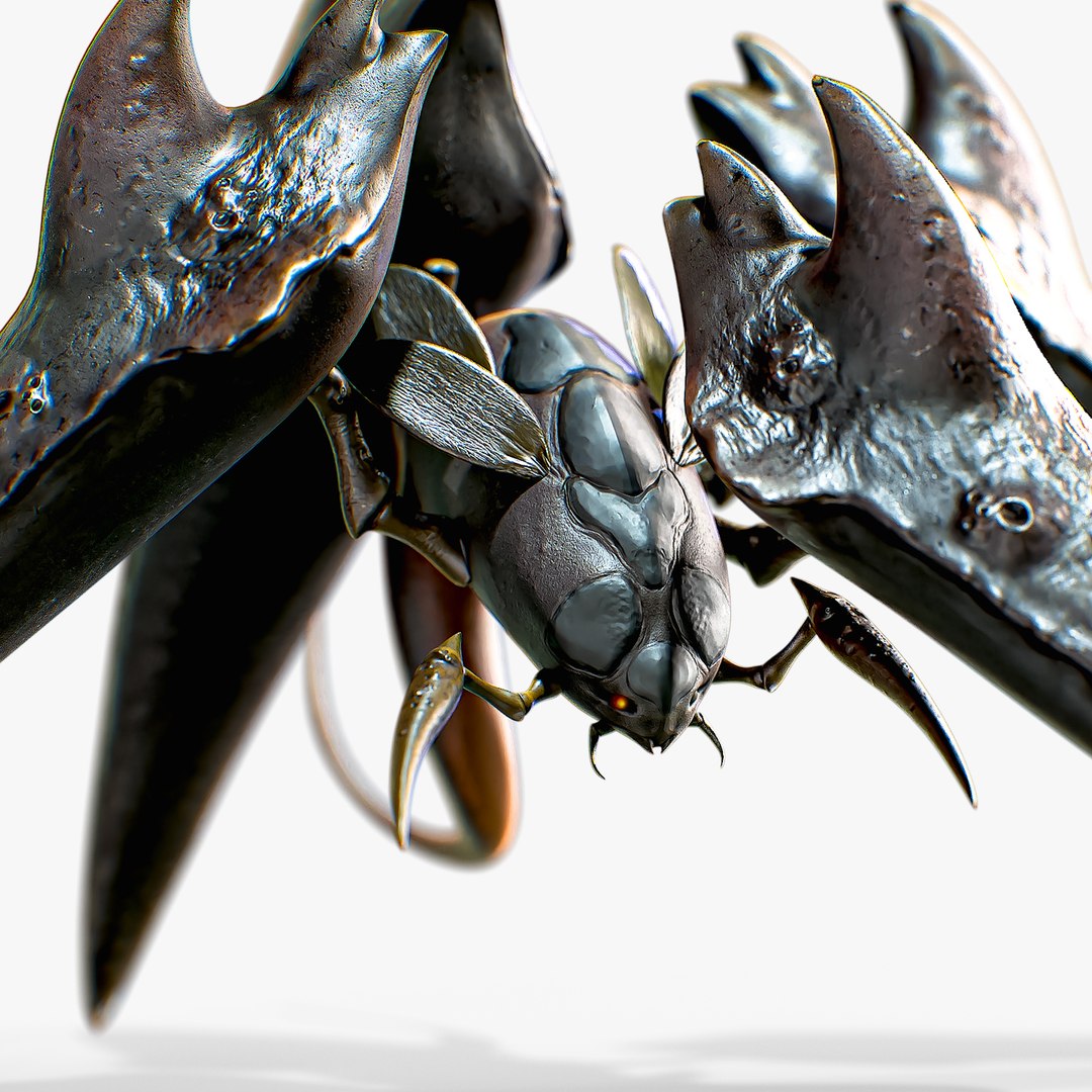 3D Cancer Spider Crab - Poly Fish Ocean Predator Crustacea Model - 12 ...