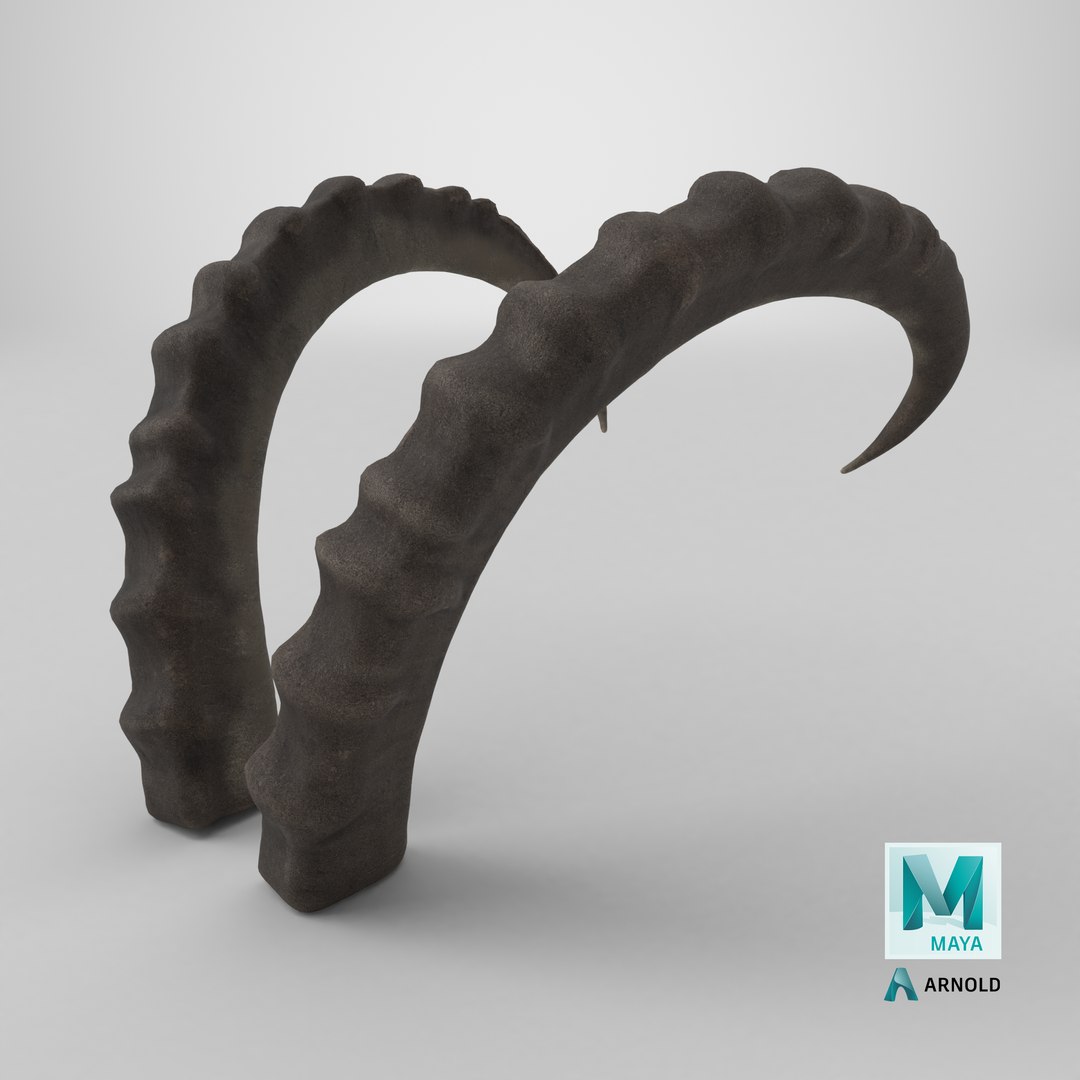 3D Horn V5 Model - TurboSquid 1743898