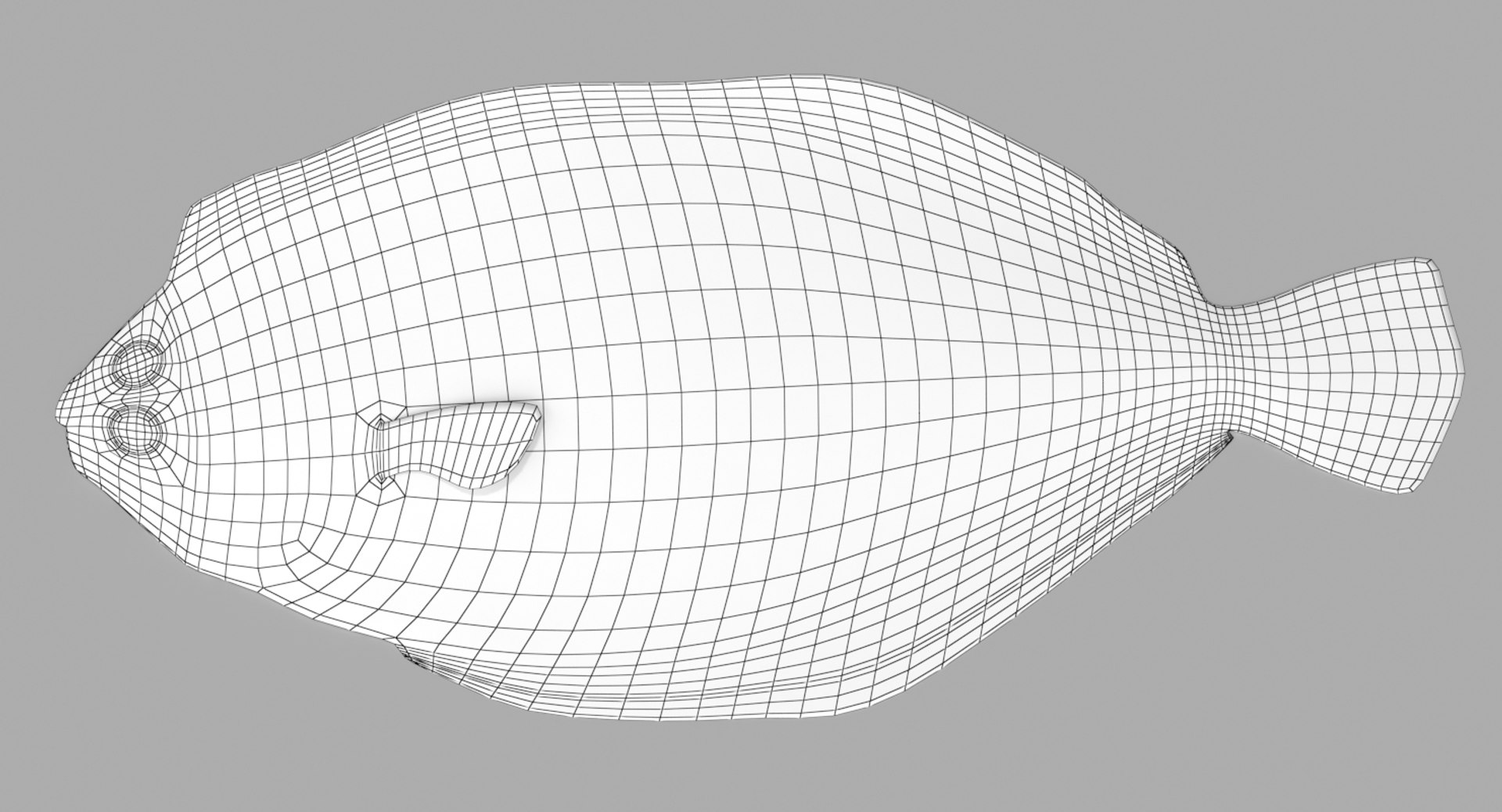 3D Panamic Flounder Model - TurboSquid 1203105